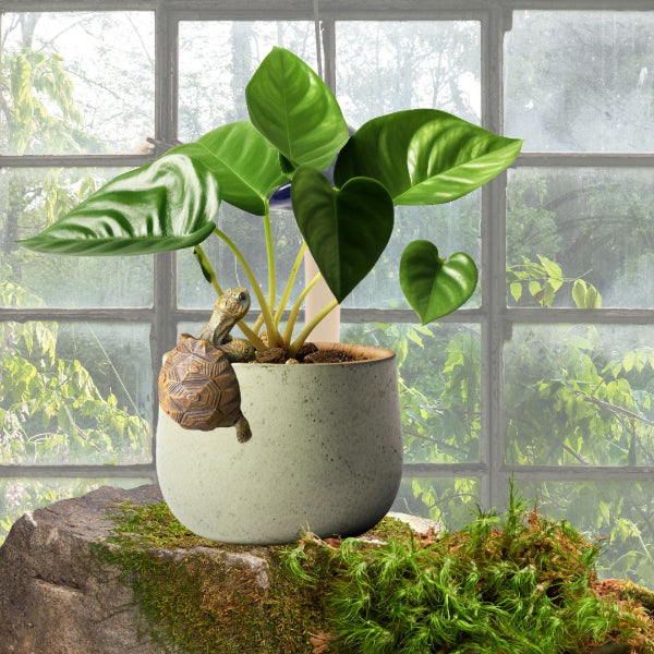 Tortoise Plant Pot Ornament — Habitarē Home & Garden